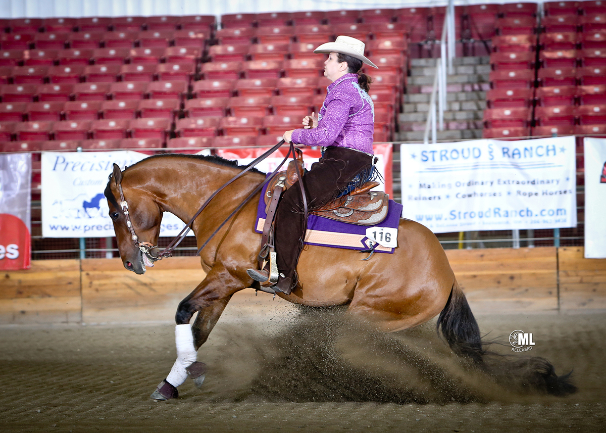 WRHA: Spring Fling and Derby Show - - The Northwest Horse Source