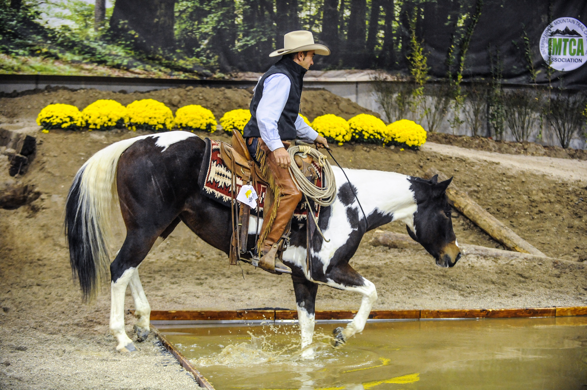 Washington State Horse Expo Proudly Announces... - Marketplace - The ...