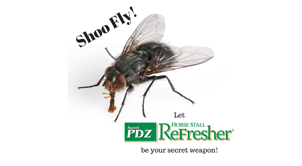 Bug Off - Controlling Flies in the Barn - - The Northwest Horse Source