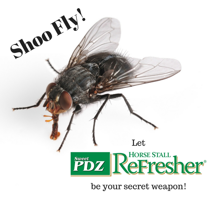 Bug Off - Controlling Flies in the Barn - - The Northwest Horse Source