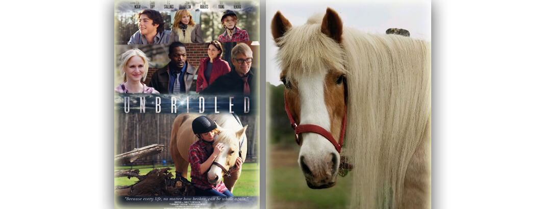 Real-life Horse Waiting in Line at Charity Movie Screening - News - The ...