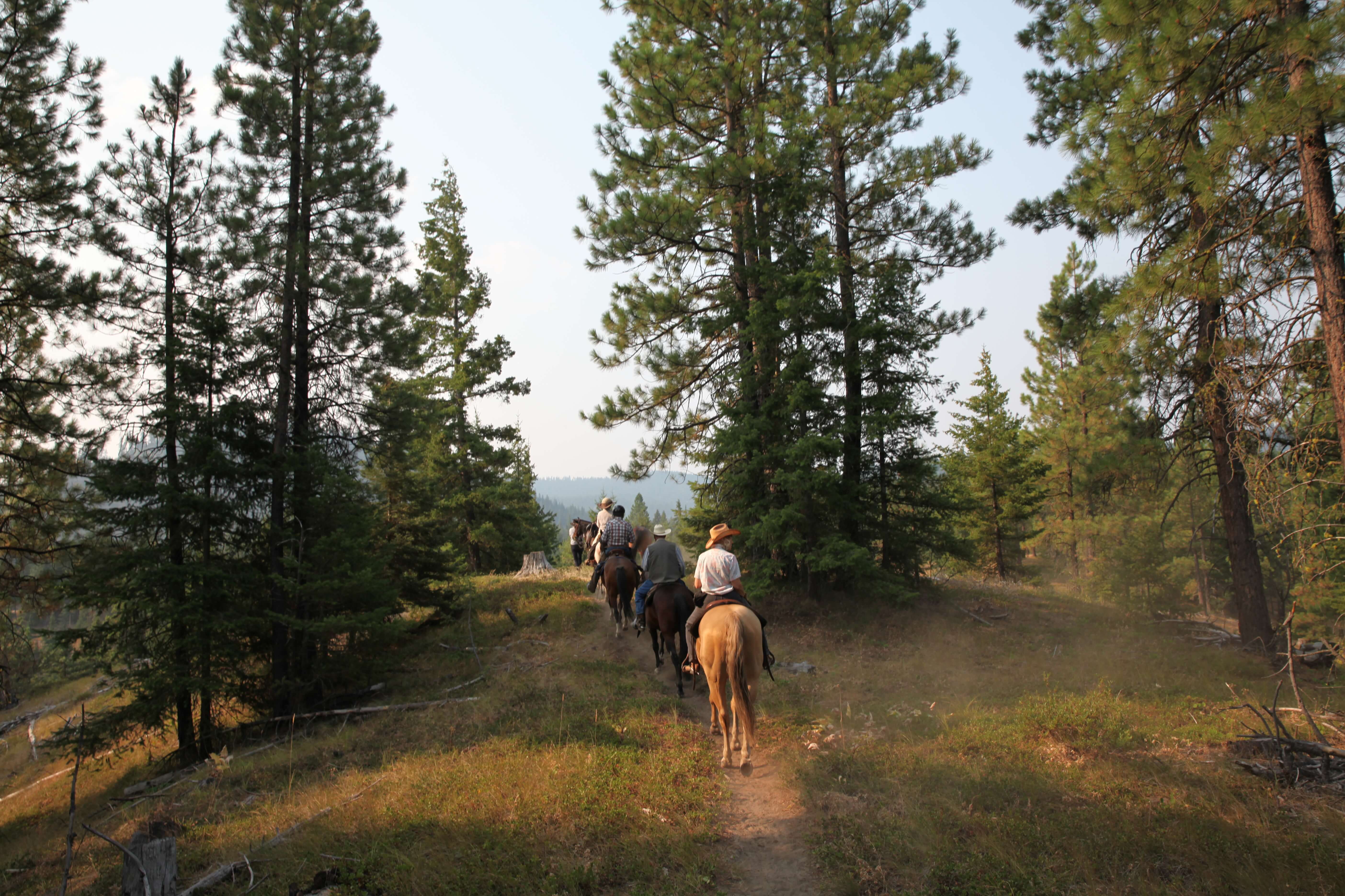 Flying M Ranch - 1501 Masterson Road, Cle Elum, 98922 - NW Horse Source