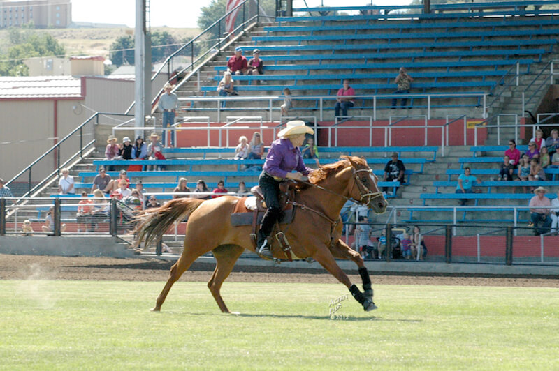 Bulls, Barrels, and the Spirit of Pendleton - - The Northwest Horse Source