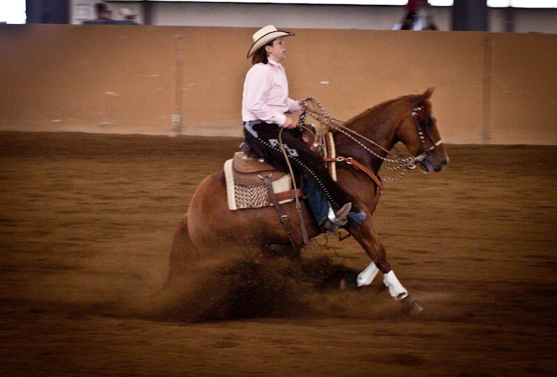 “Dear Allison…” - - The Northwest Horse Source