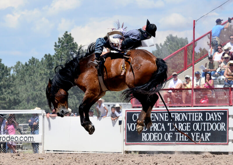Cheyenne’s Frontier Days - - The Northwest Horse Source