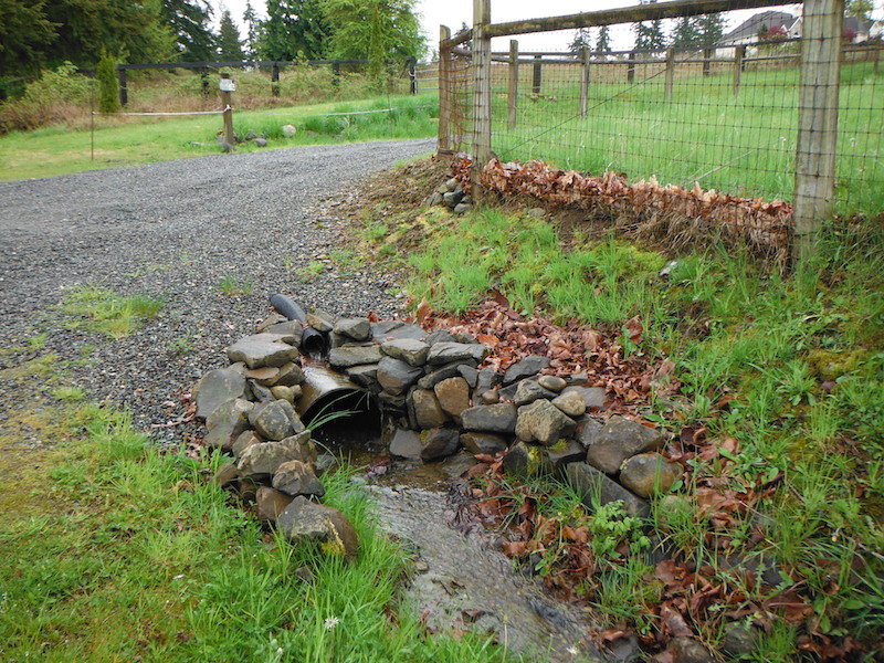 Drainage Tips for Horse Properties - NW Horse Source