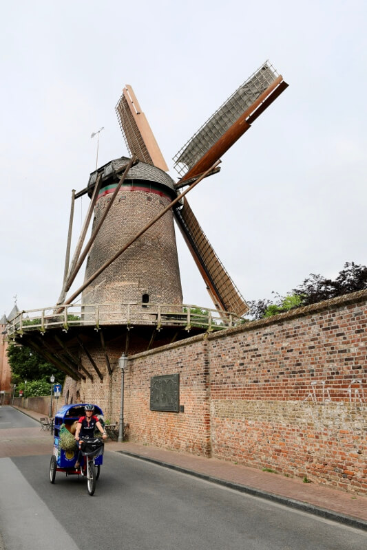 Cavallo Horse & Rider’s Ambassador, Massingale, Trailers her Minis ...