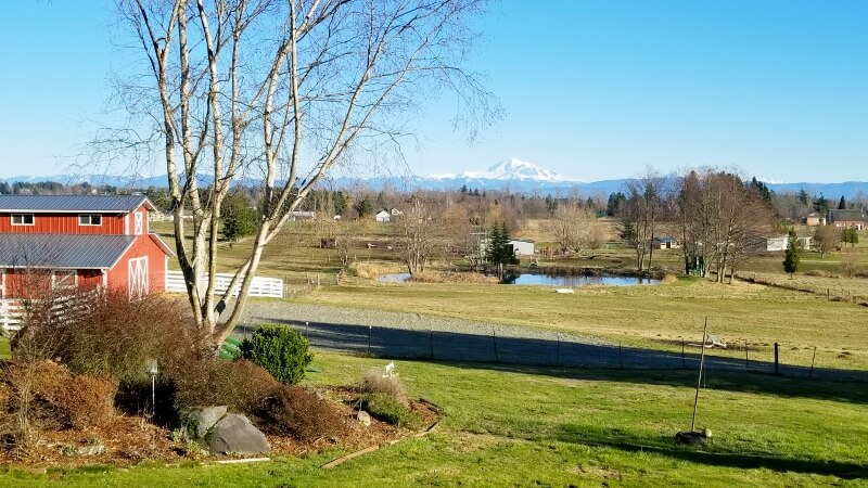 →PRICE REDUCTION← Shy 6 Acres, Newer Barn, Amazing Mt Baker View ...