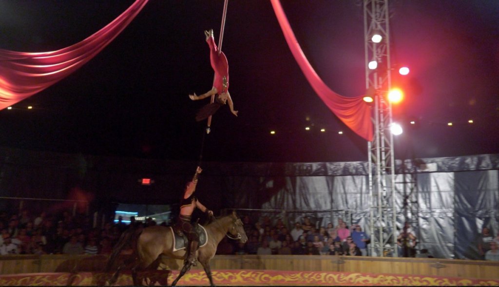 Cirque Ma'Ceo Aerial Fly pole (1200x690) – The Northwest Horse Source
