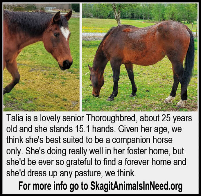 Book Review, The Essential Hoof Book: The Complete Modern Guide to ...