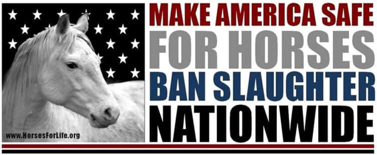 Animal welfare groups commend US senators for reintroducing bill to ban ...