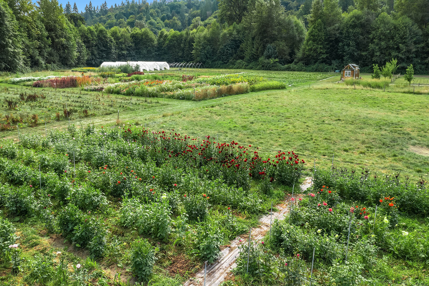 SOLD - Wild Canary Farm, Duvall, WA - Real Estate - The Northwest Horse ...