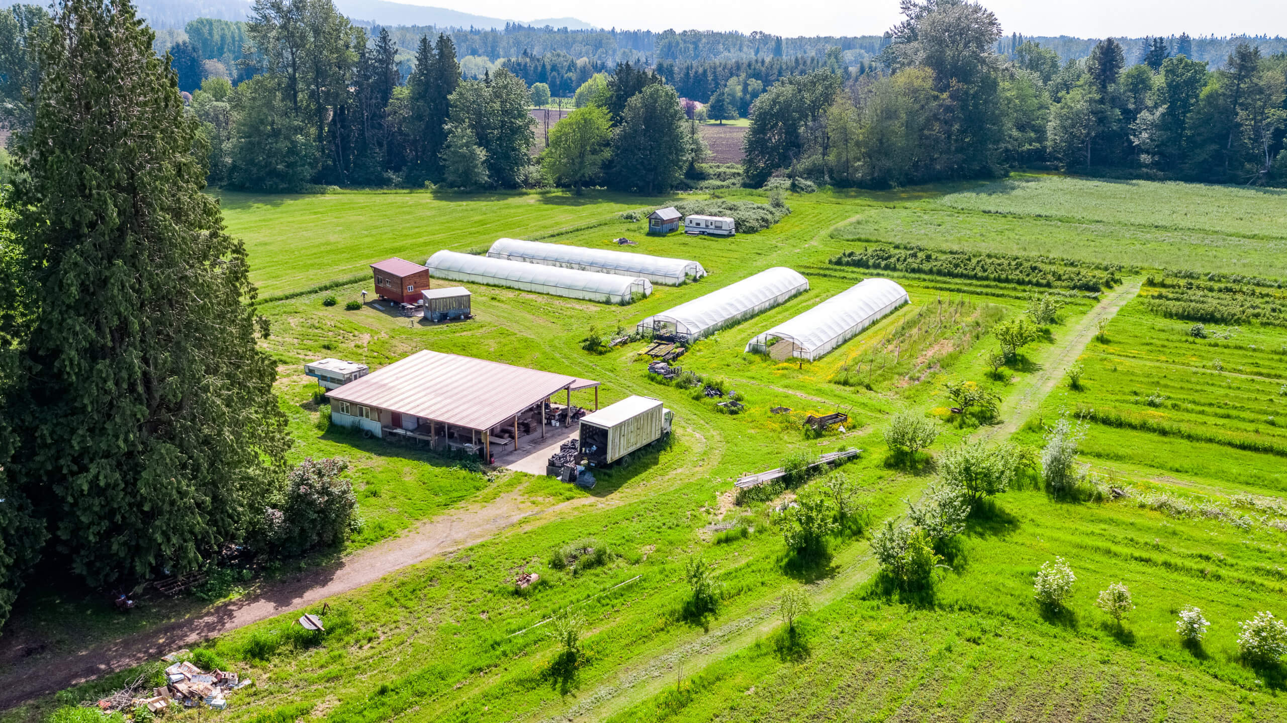 The Northwest Horse Source, for Horse Enthusiasts of all Breeds and ...